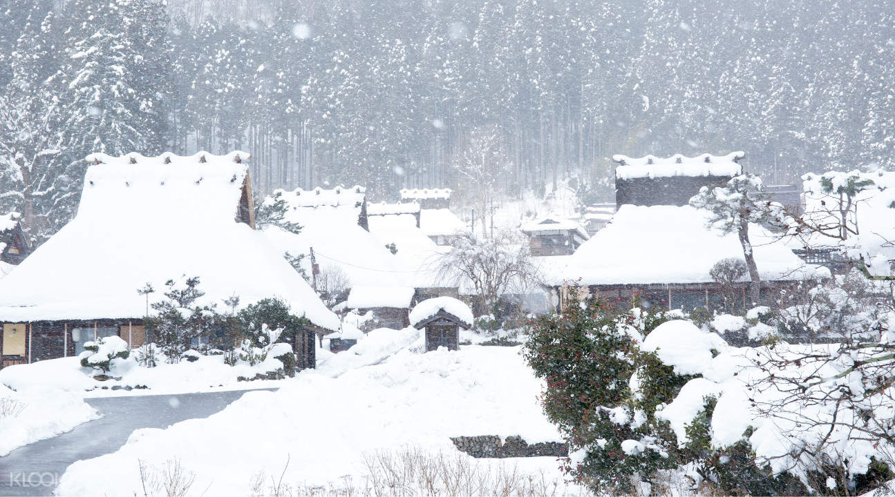Amanohashidate, Ine no Funaya, and Miyama Village Day Trip in Northern ...